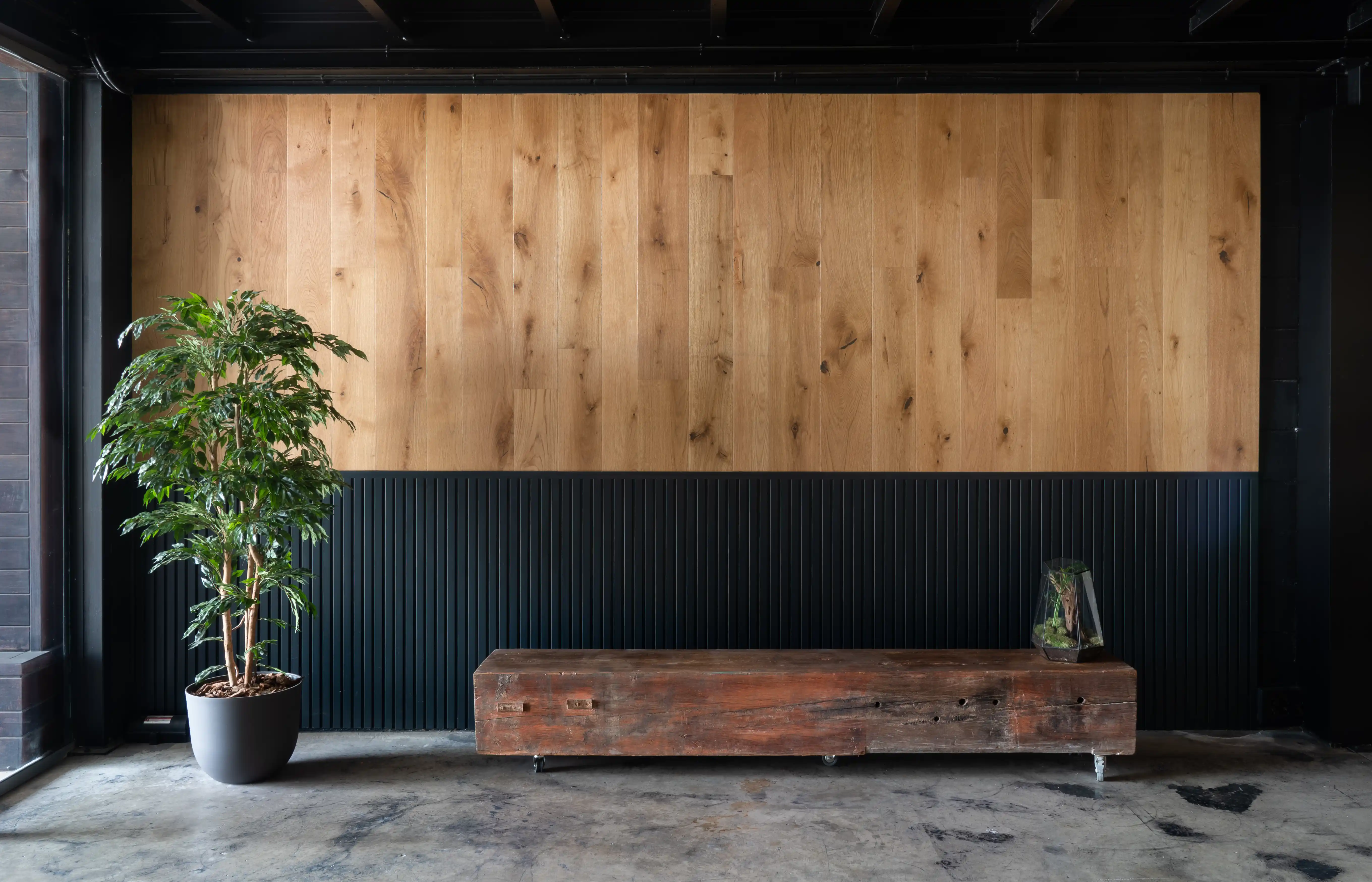 Revestimientos de Calidad para Paredes y Techos: Detalles que Marcan la ...